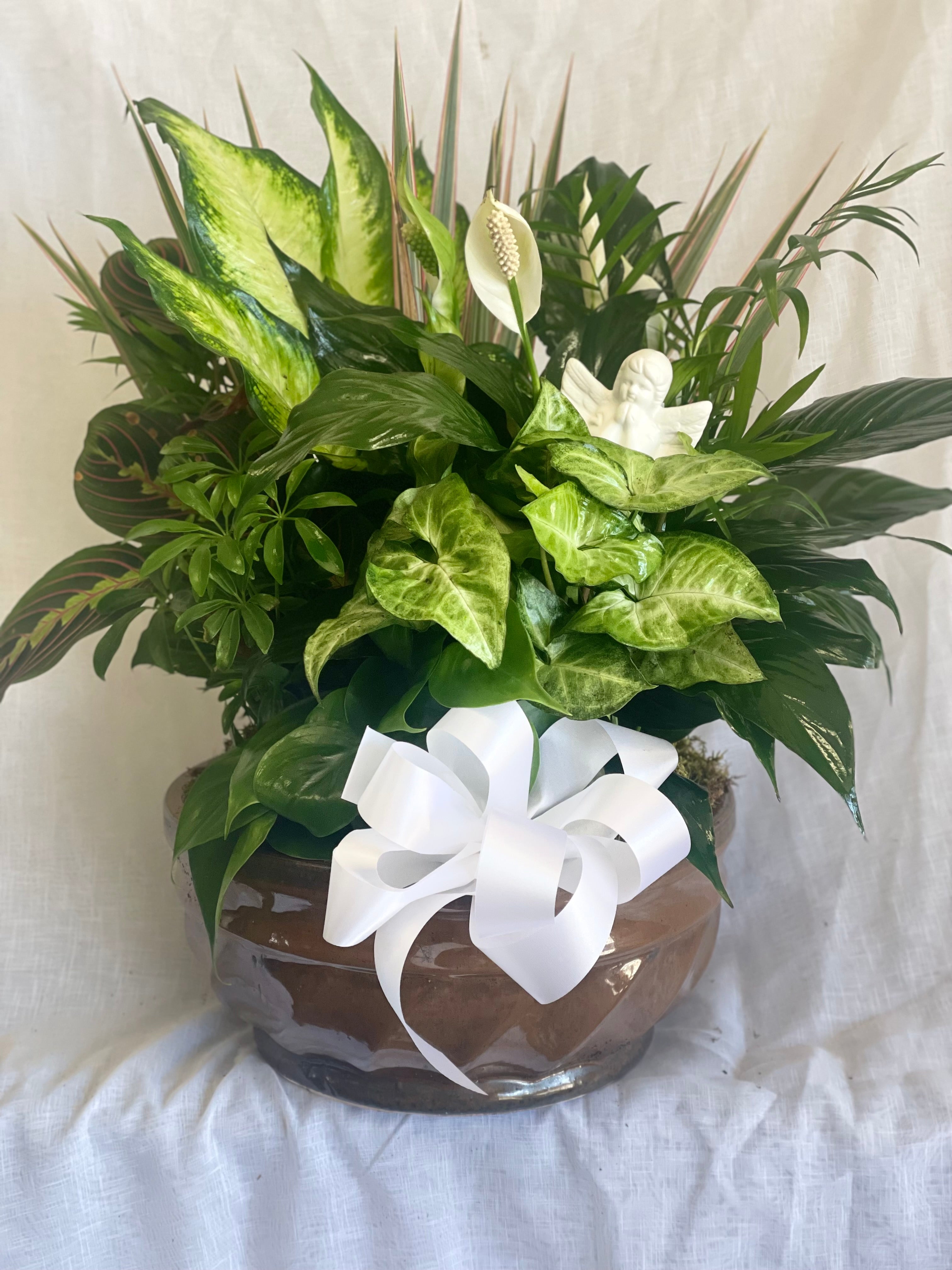 Large Ceramic Dish Garden - 12" Planter – Kings Flowers